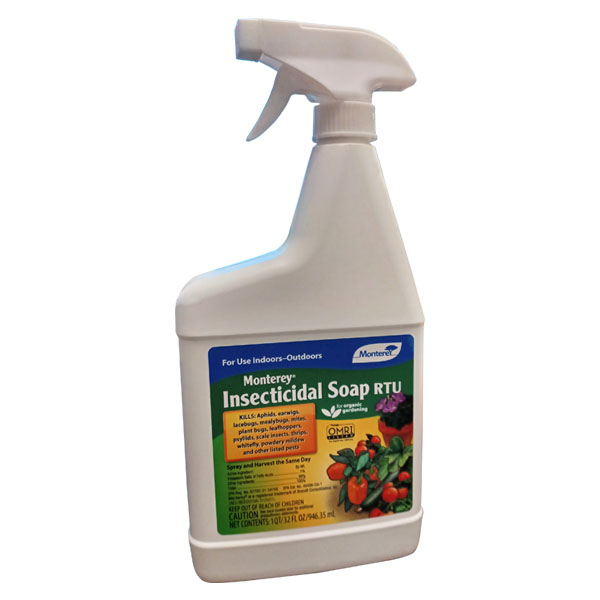 Aphids - Monterey Insecticidal Soap RTU