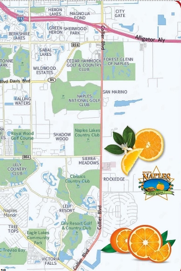 Florida Citrus For Sale - South Naples Citrus Grove
